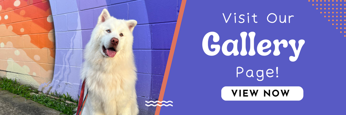 Pet Supply Store - Tampa, FL | Health Mutt